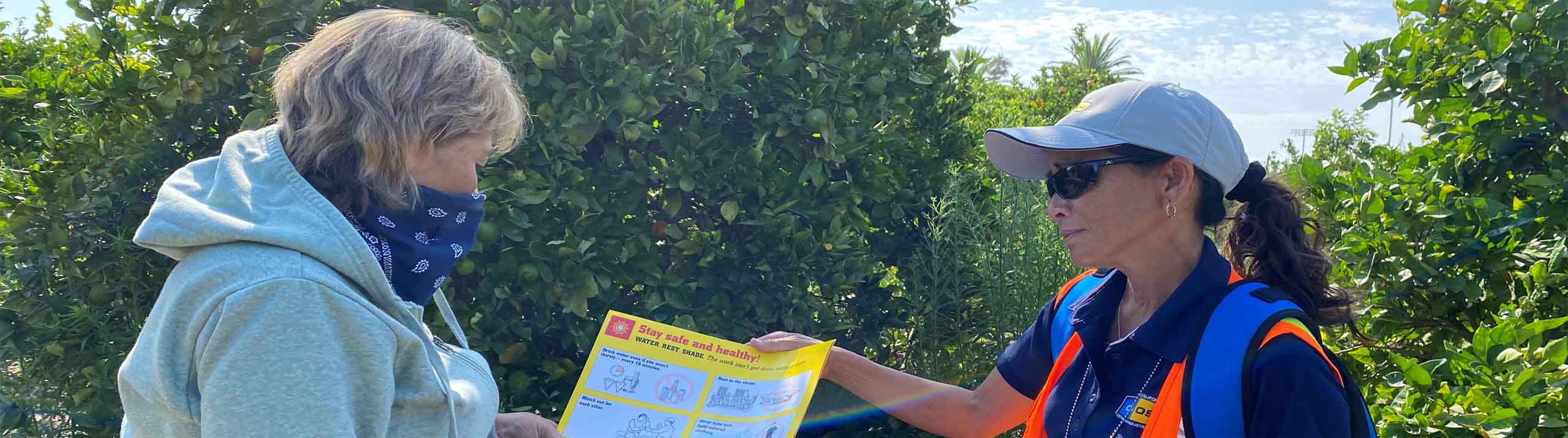 California Department of Industrial Relations - Home Page